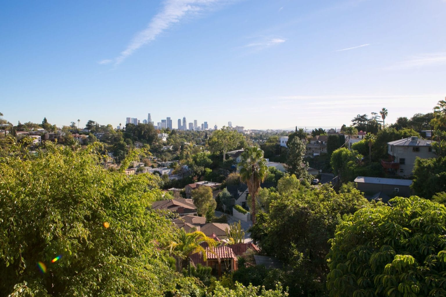 Inside the Home of Bestia Owners Gergis and Menashe