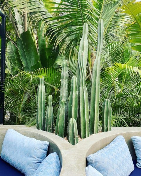 Here’s the Perfect Cabo Itinerary for a Winter Vacation