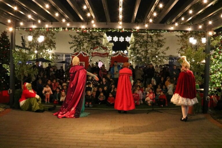 Your 101 Guide to Holiday Events in Orange County