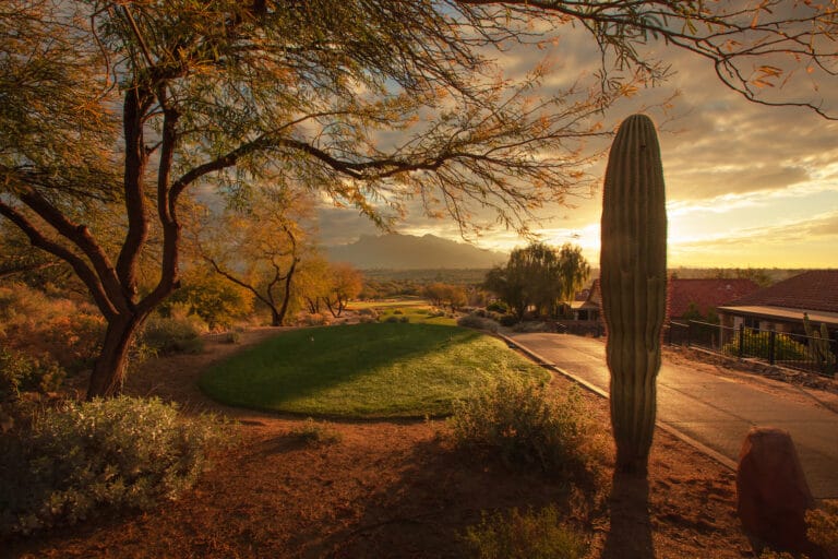 Your 10-Stop Itinerary for the Desert Getaway of Your Dreams—Tucson ...