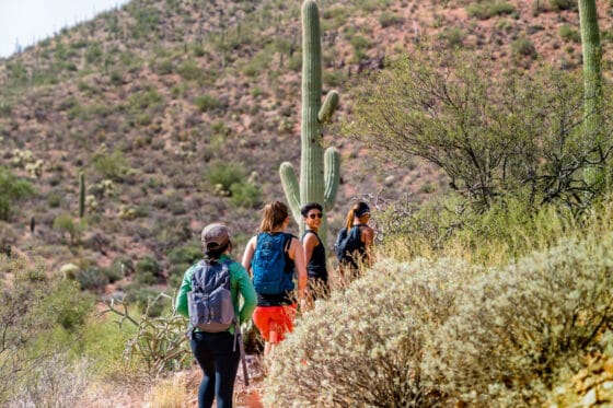 Your 10-Stop Itinerary for the Desert Getaway of Your Dreams—Tucson ...