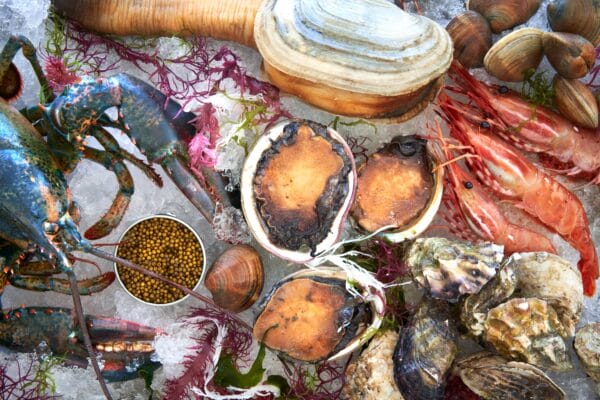 A Celebrity Chef, Ocean Views and a Fresh Feel—This OC Resort Is ...