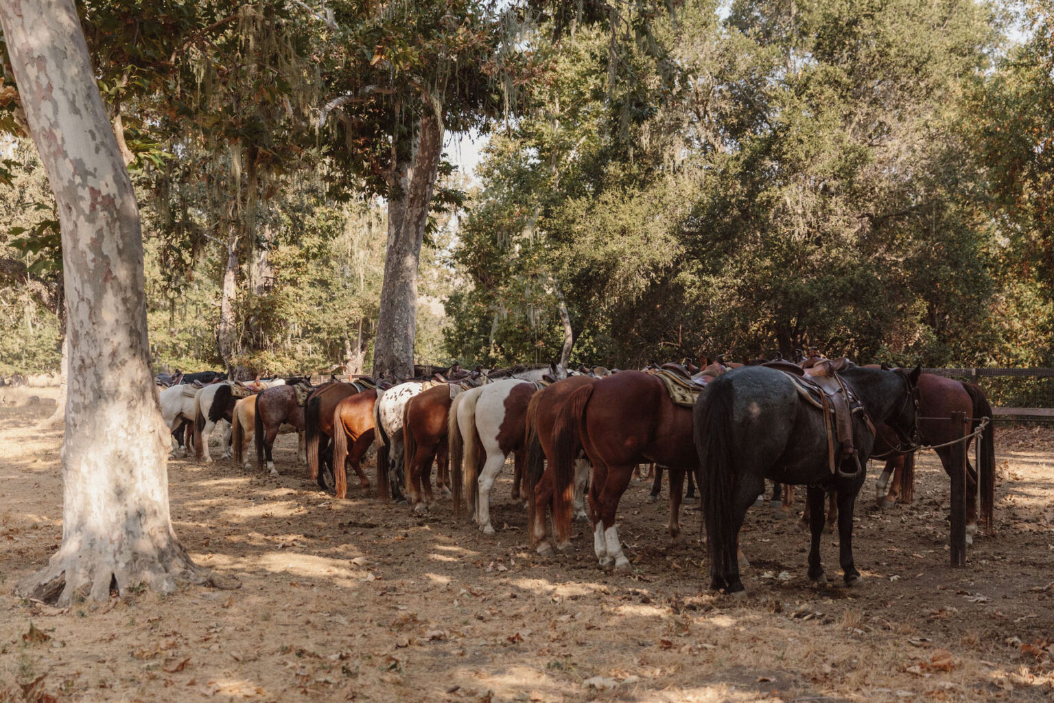 How to Unplug for 3 Days at This Luxurious California Dude Ranch