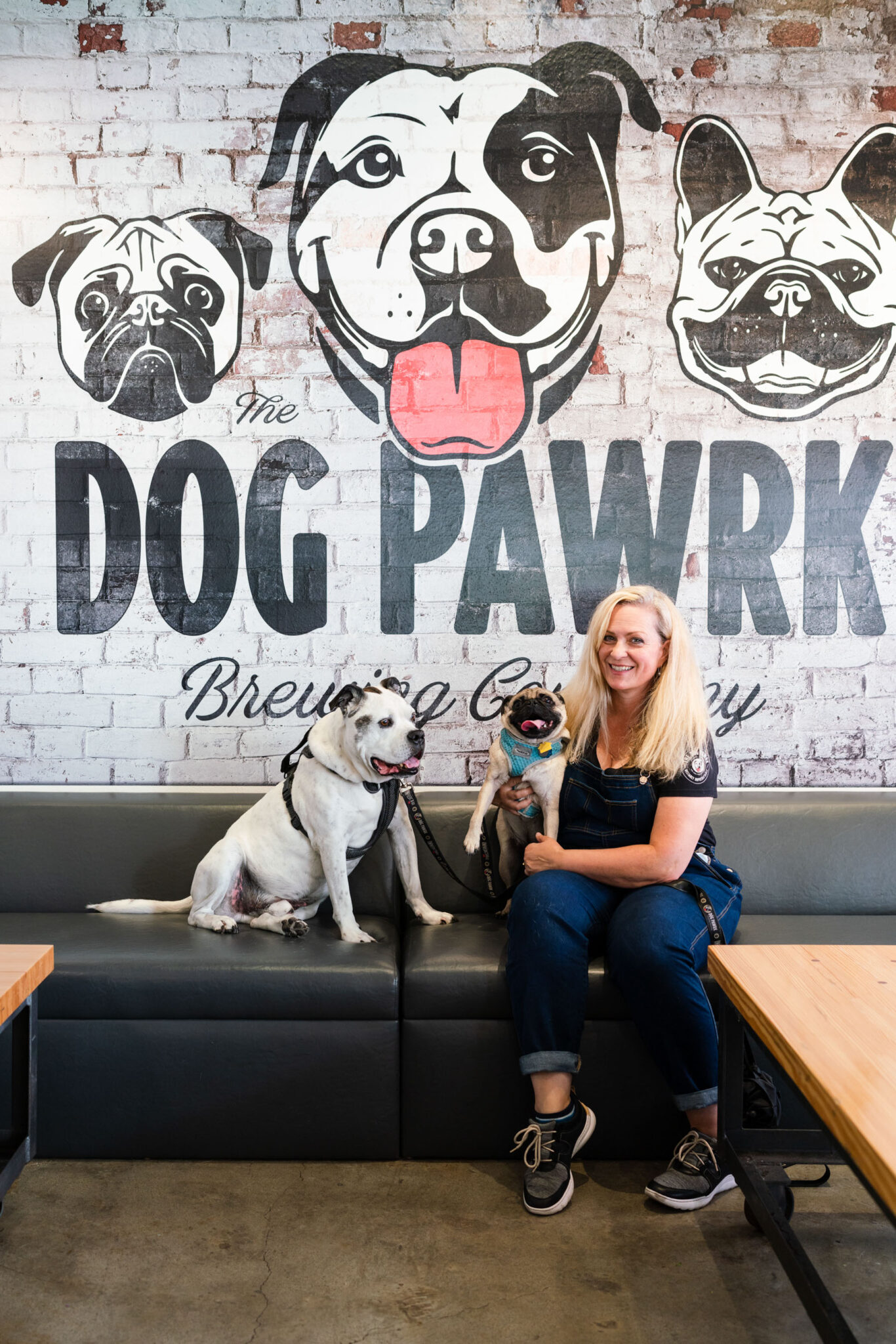 Best Dog-Friendly Spots in OC