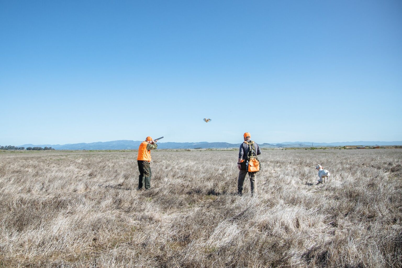 Private Hunting Club, Wing & Barrel Ranch, Offers an Extraordinary ...