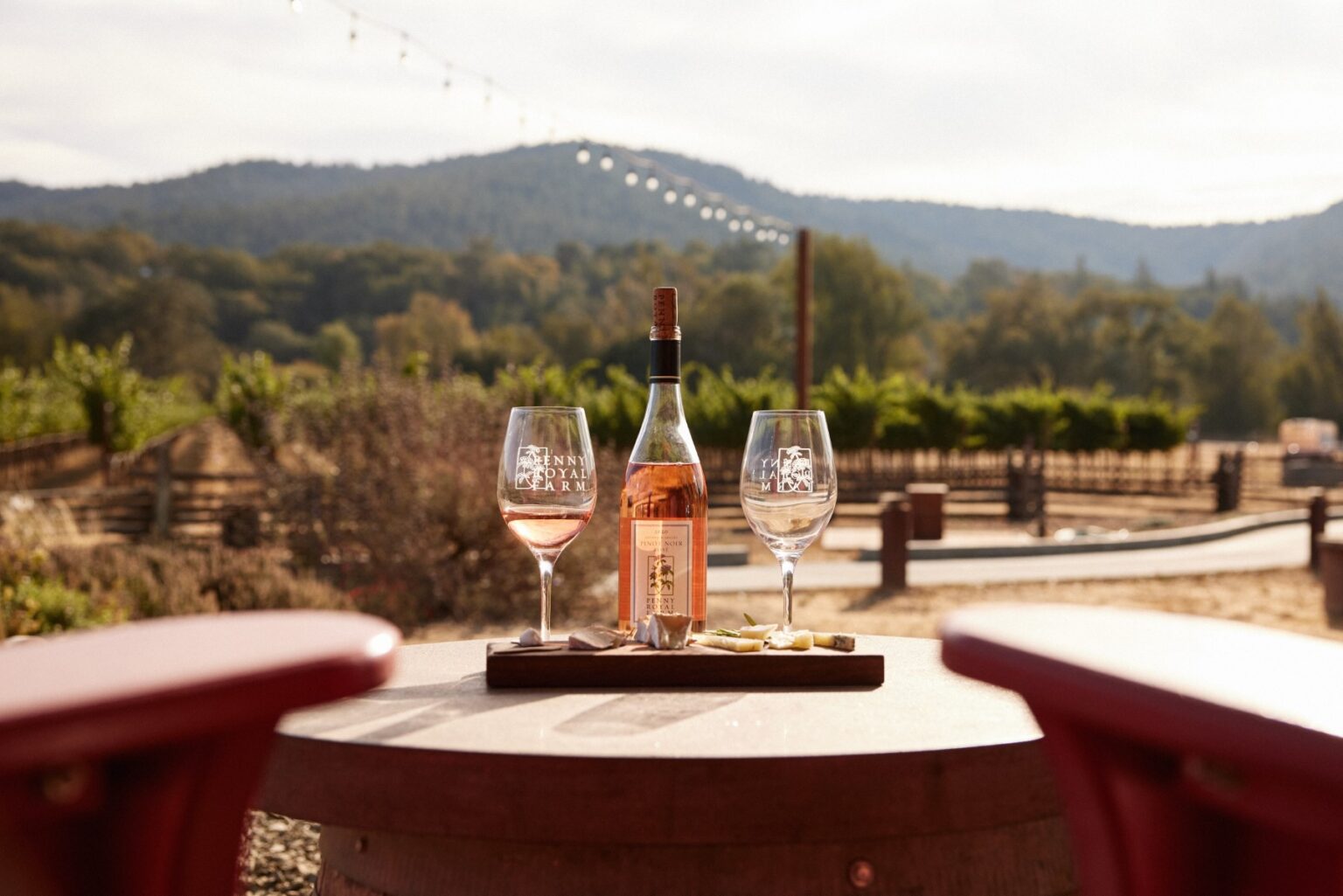 Spots for a Glass of Wine in Costa Mesa and Newport Beach