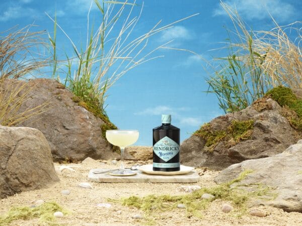 10 Recipes for Every Type of Gin-Lover (5 Simple Ideas and 5 for the Pros)