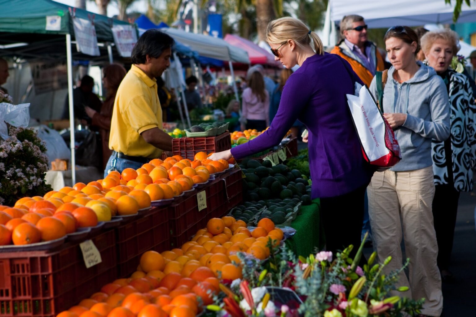 A Local’s Guide to Exploring The Charming Town of Solana Beach