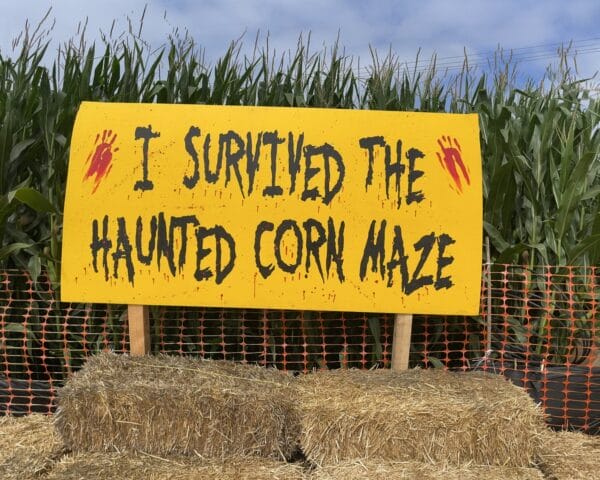 Carlsbad Itinerary: How to Spend a Cozy Fall Day in Carlsbad