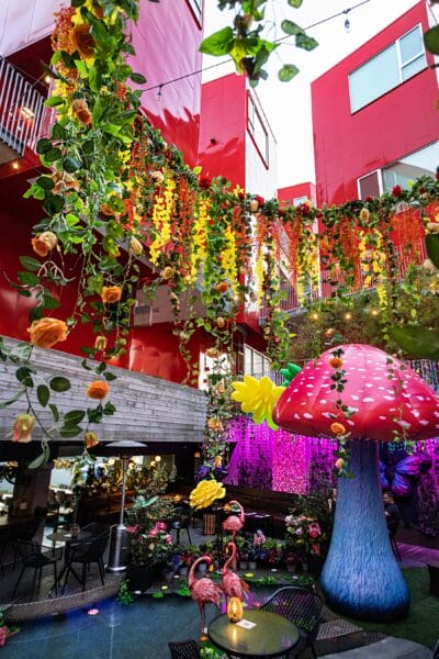 Experience insideOUT’s Enchanted Oasis in Hillcrest
