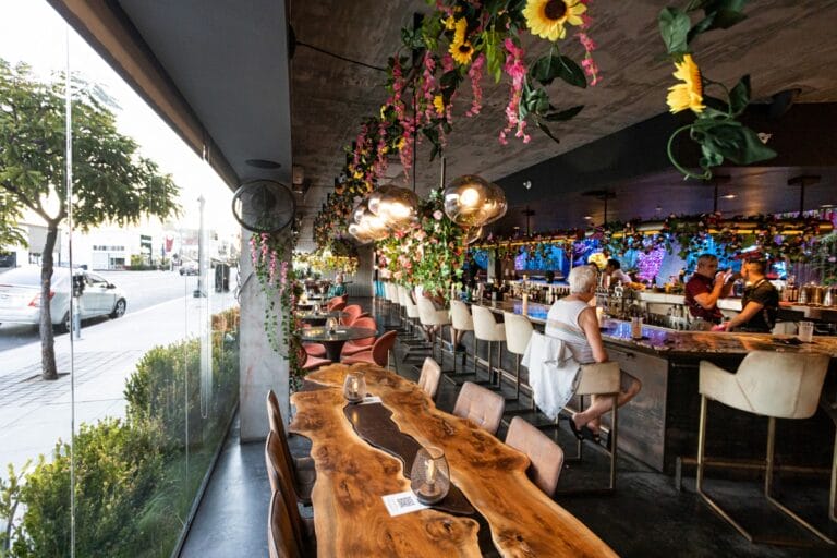 Experience insideOUT’s Enchanted Oasis in Hillcrest