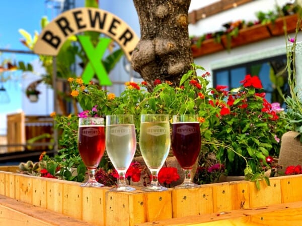 Our Guide to 19 of the Best Breweries in Orange County