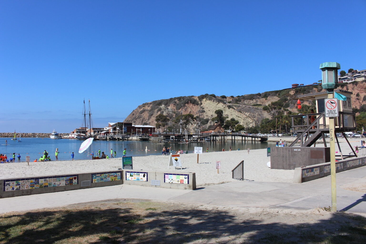 A Local’s Guide to 12 of the Best Beaches in Orange County