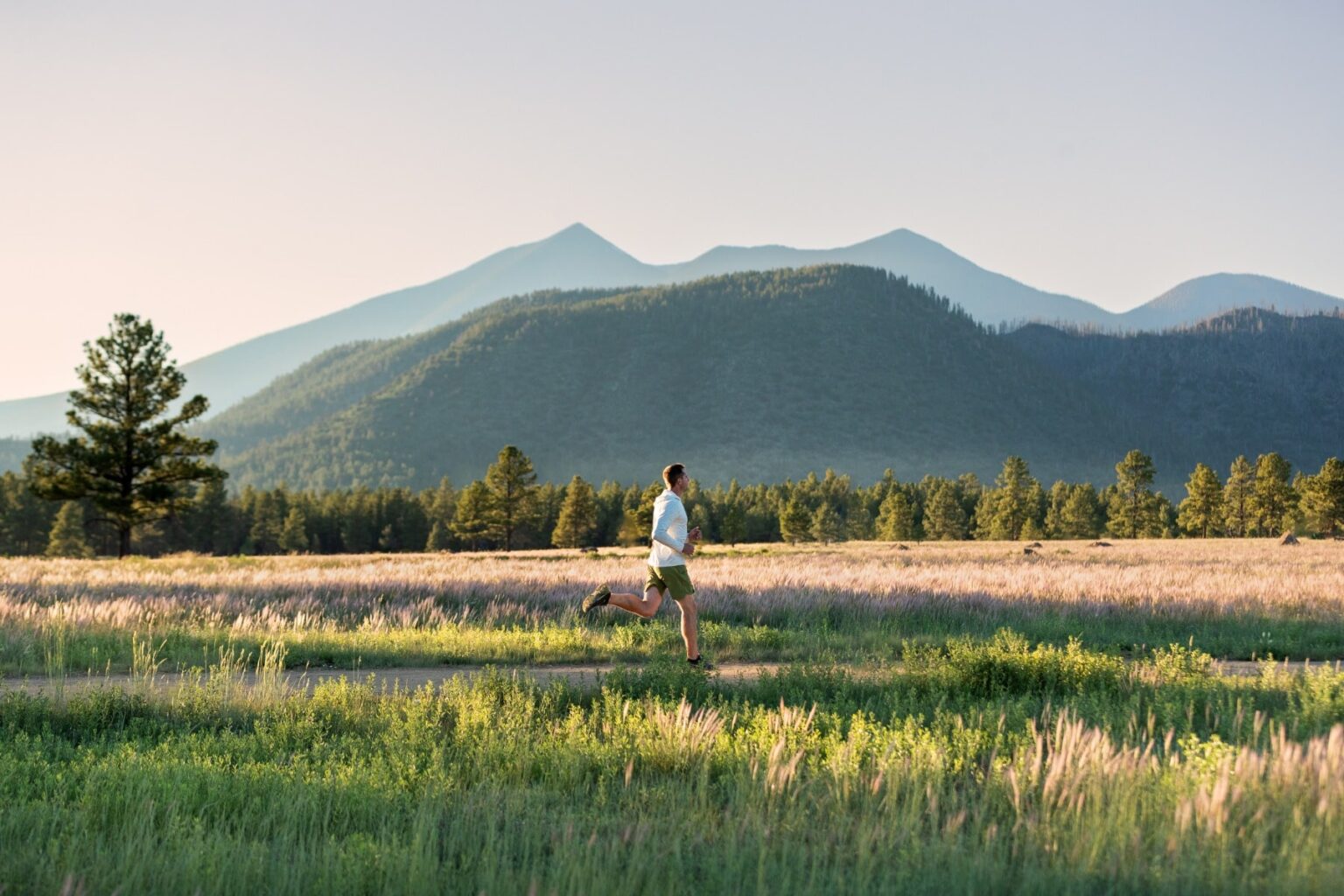 Flagstaff Facts: 8 Fun Facts About Flagstaff