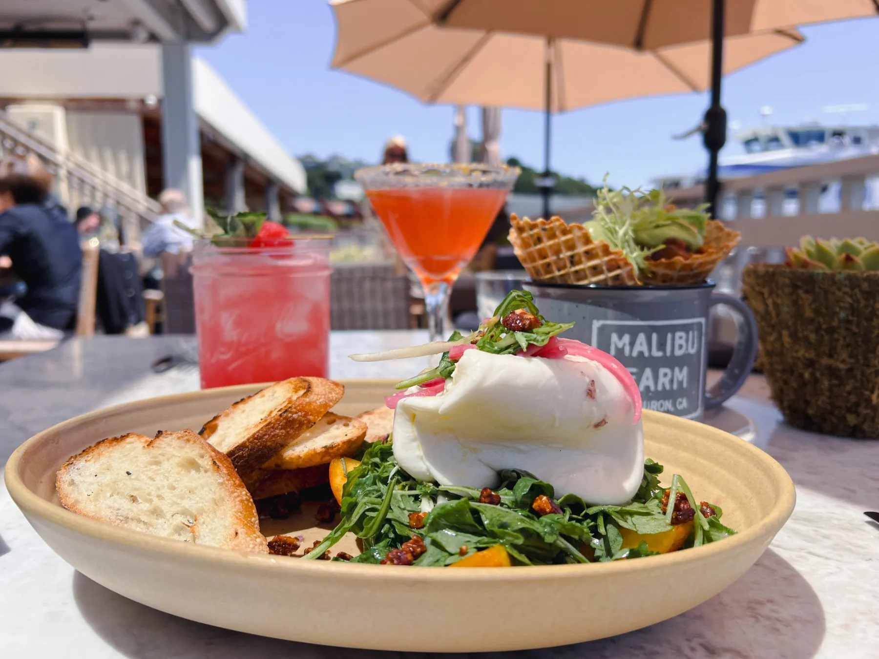 Malibu Farm Brings Its Farm-Fresh Fare to the Bay Area