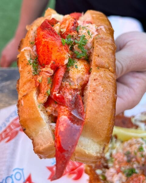 9 Lobster Rolls in San Diego That Rival the East Coast
