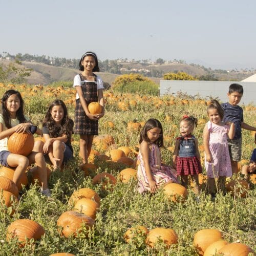 Pick Your Perfect Pumpkin at These 6 Pumpkin Patches in LA