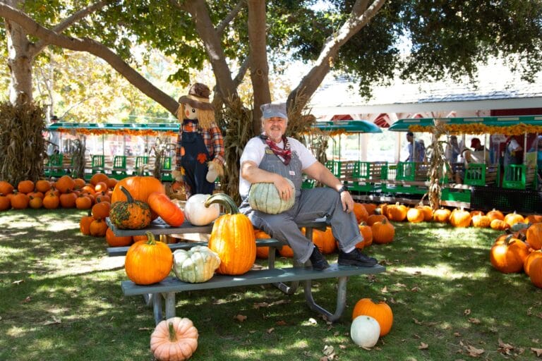 Orange County Pumpkin Patches That Will Get You in the Fall Spirit