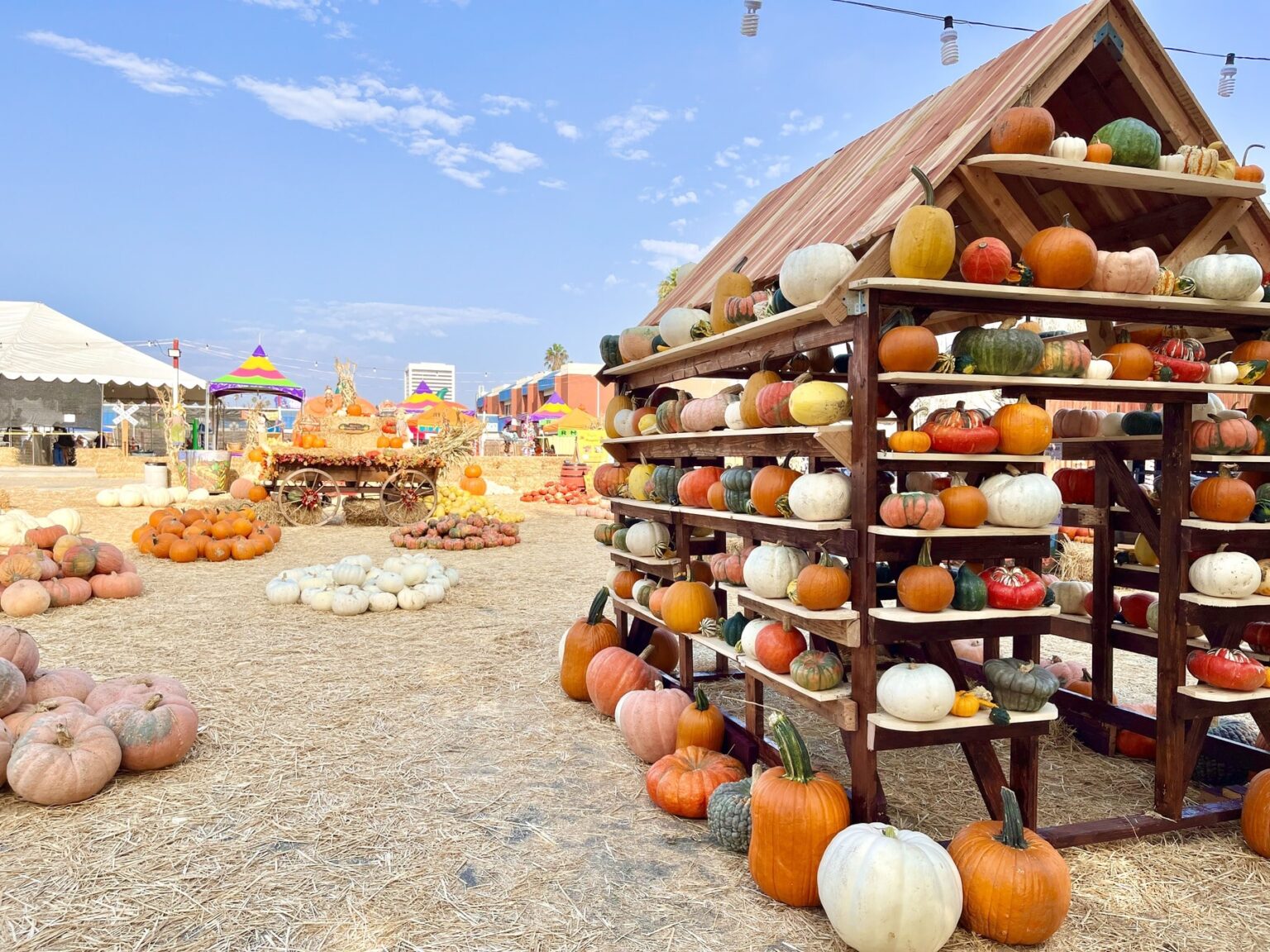 Pick Your Perfect Pumpkin at These 6 Pumpkin Patches in LA