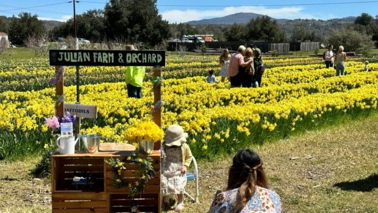 Julian San Diego Itinerary—a Charming Town in San Diego County