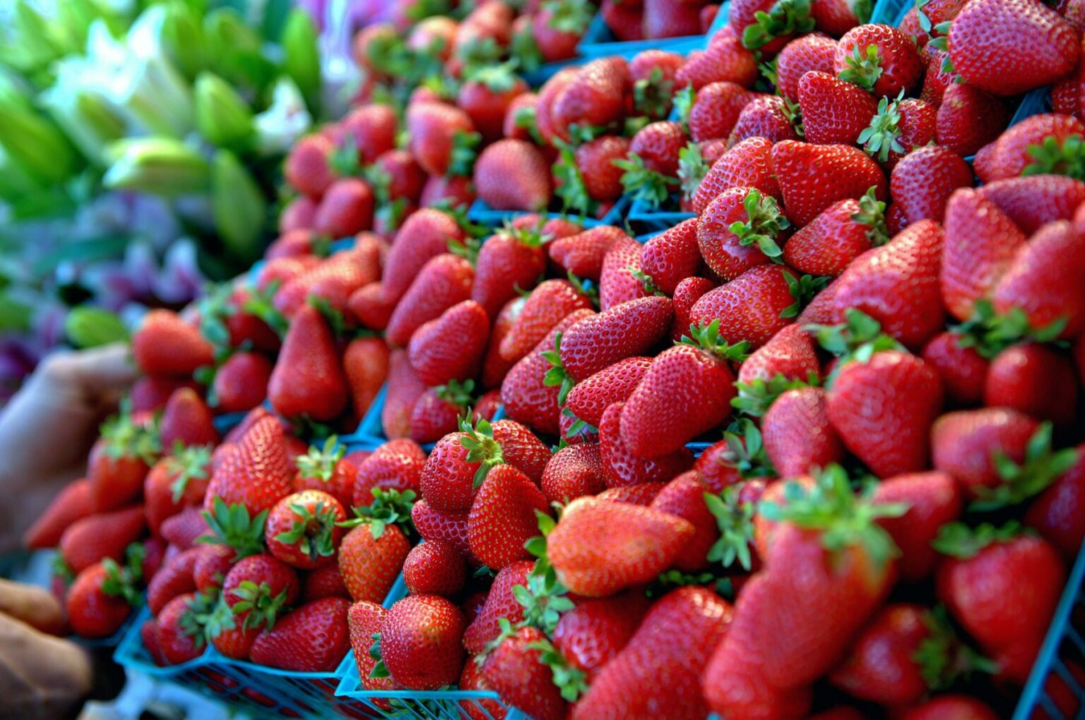 48 Hours in a Santa Barbara—Where to Stay, Dine and Explore