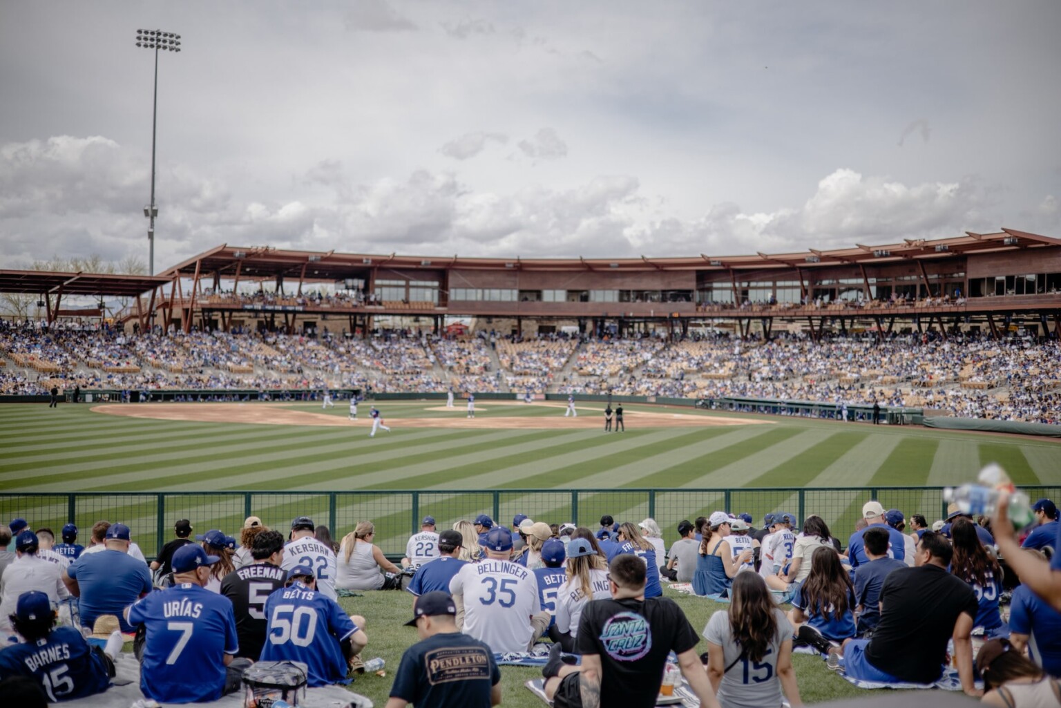 The Ultimate Guide to MLB Spring Training in Arizona