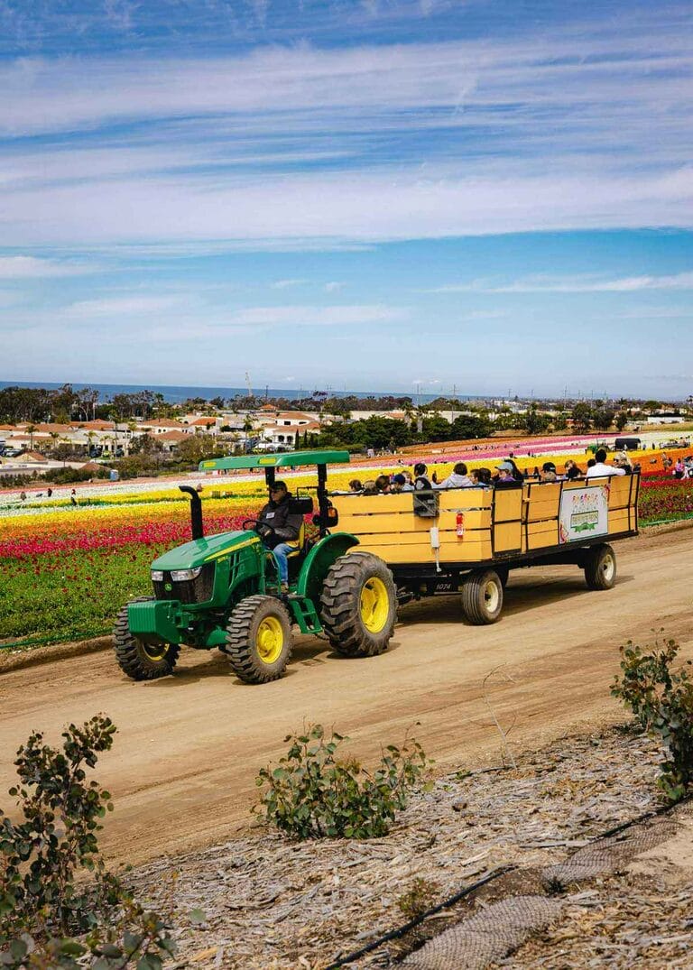 Spring Break Carlsbad: This Resort Is Perfect for Families