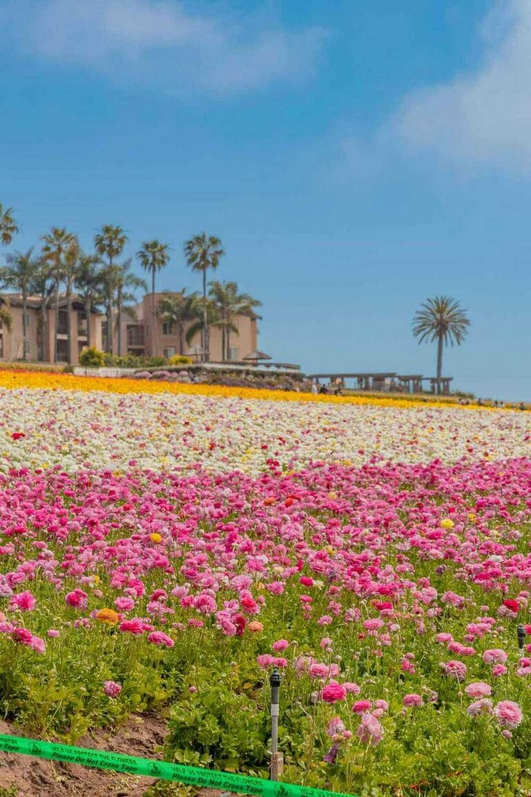 Spring Break Carlsbad: This Resort Is Perfect for Families