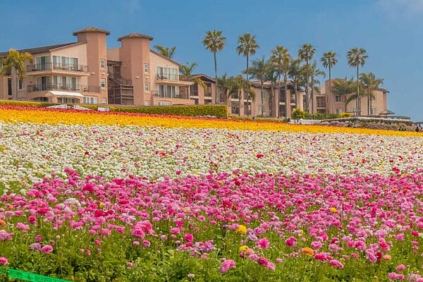 Spring Break Carlsbad: This Resort Is Perfect for Families