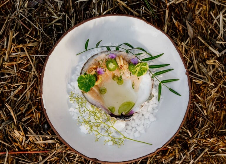 Chef Drew Deckman's Story and New Restaurant 31THIRTYONE