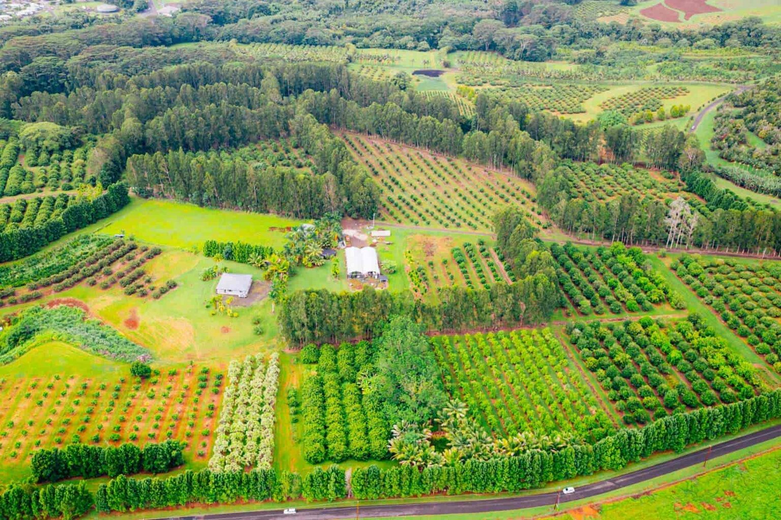 The Big Island of Hawaii Guide: Mindful and Adventurous Escape
