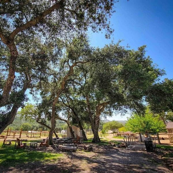 Things to Do in San Diego This Summer 2024