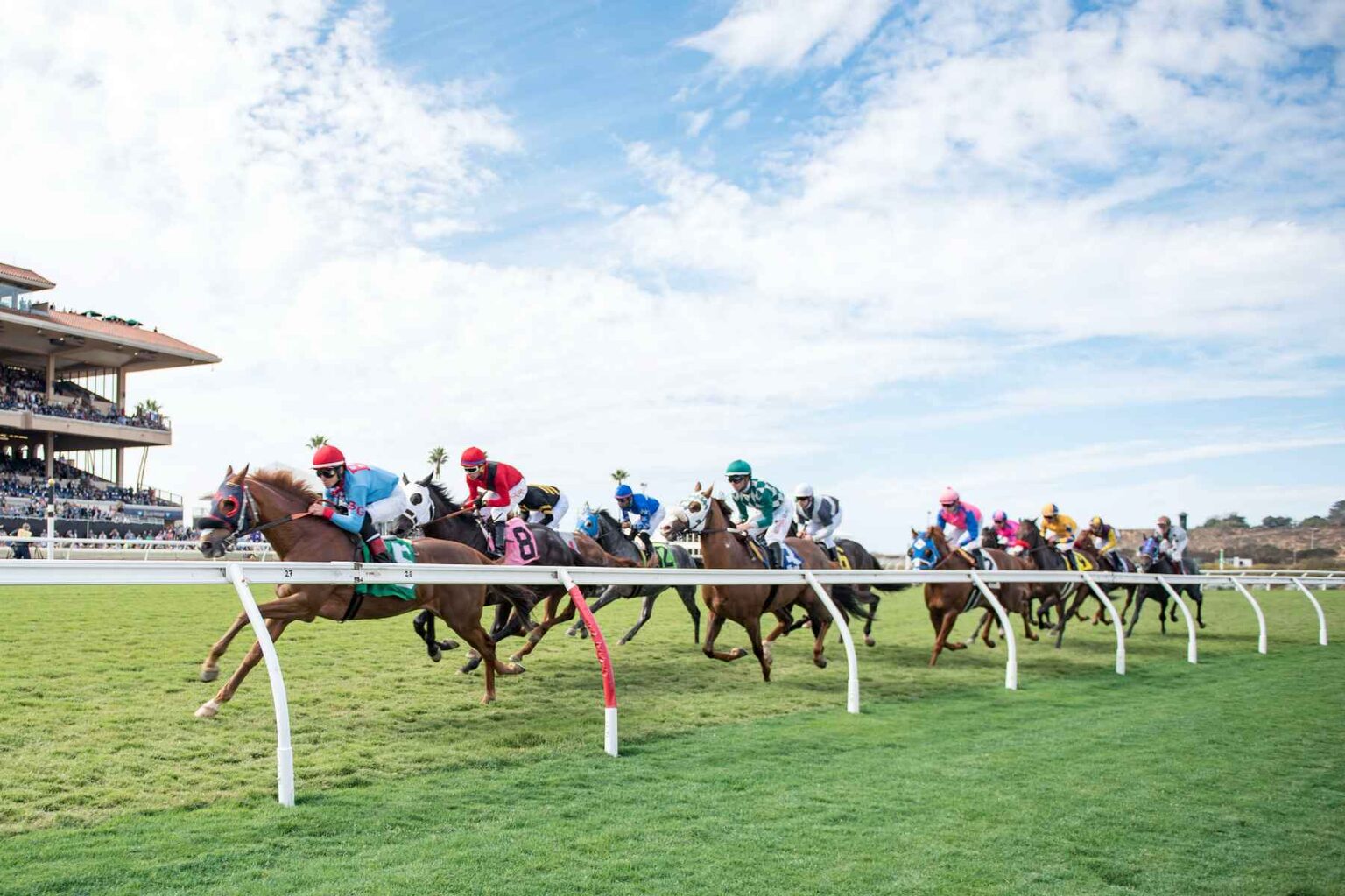 Your Guide to the 2024 Del Mar Horse Racing Season