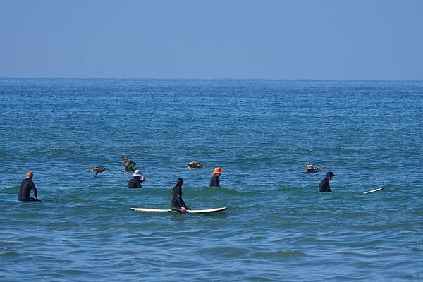 10 Adult Summer Camps That’ll Make You Feel Like a Kid Again