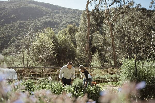 11 of the Best Farm-to-Table Restaurants in Orange County
