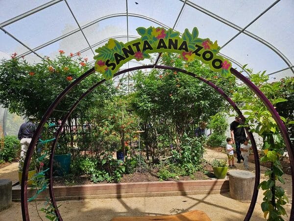 Spend a Day in the City of Santa Ana Like a Local