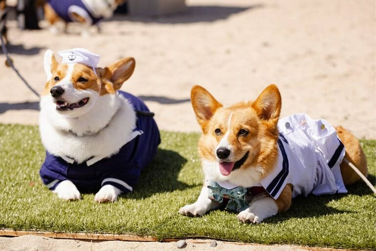 10 Fun Things to Do in Huntington Beach This Fall