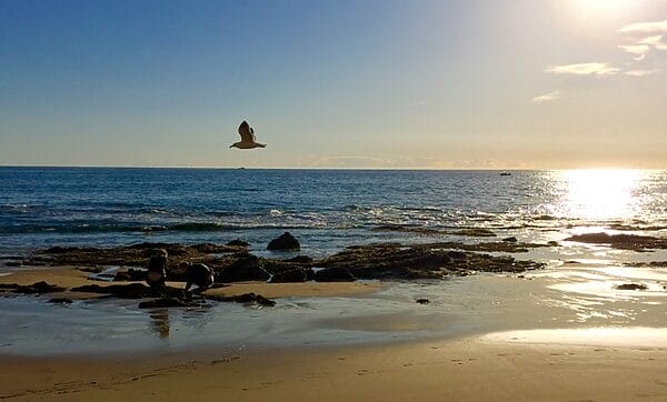 14 of the Most Scenic Places in Orange County