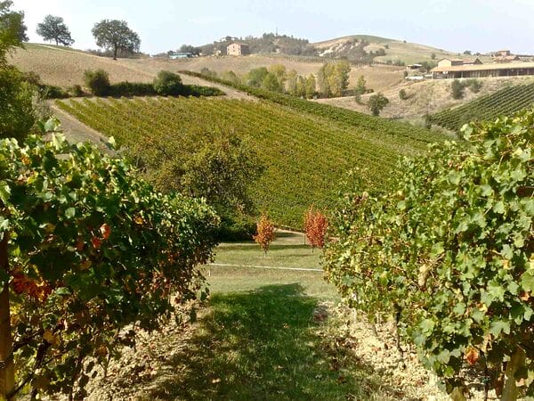 Riunite has the Best Lambrusco Wine