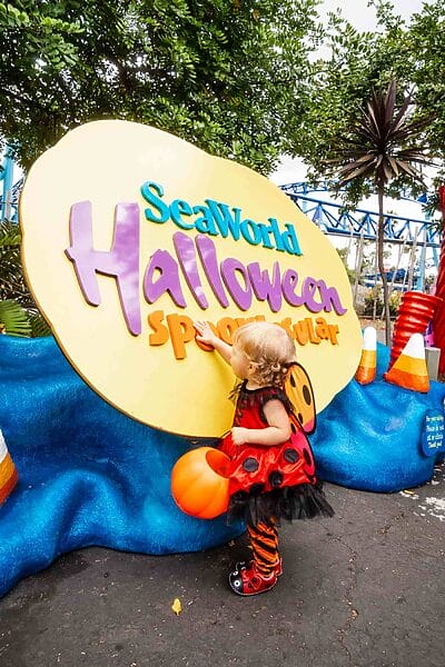October Is the Best Time to Visit SeaWorld Events in San Diego