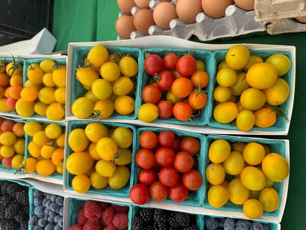 Spend a Day in Leucadia With This Neighborhood Guide