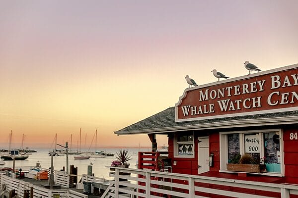 Monterey Weekend Guide: Spend a Fall Weekend in Monterey