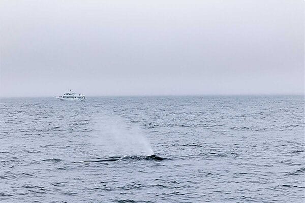 Monterey Weekend Guide: Spend a Fall Weekend in Monterey