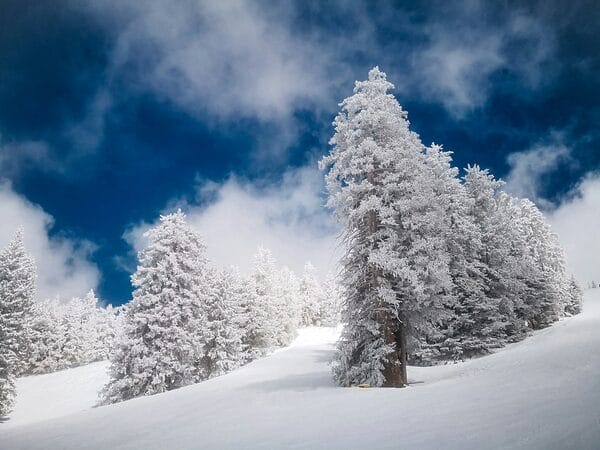 Flagstaff Facts: 8 Fun Facts About Flagstaff