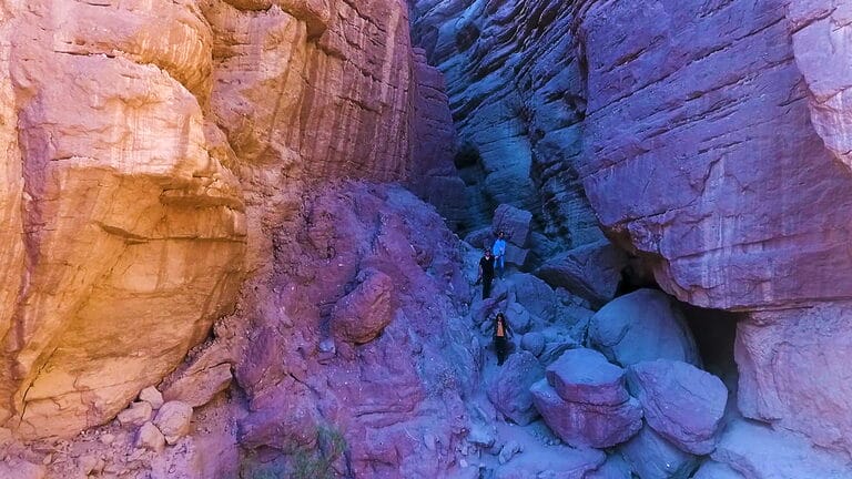 10 Hidden Treasures in Palm Springs Worth Experiencing