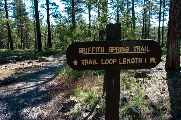 Why Every Arizona Spring Travel Should Start in Flagstaff