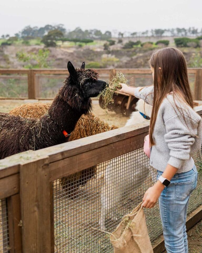 What’s Happening in San Diego This Week (Feb. 27-March 5)