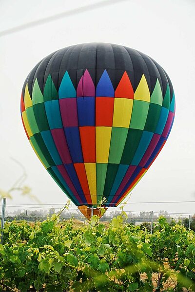 This Year’s Temecula Valley Balloon & Wine Festival