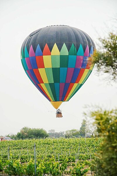 This Year’s Temecula Valley Balloon & Wine Festival